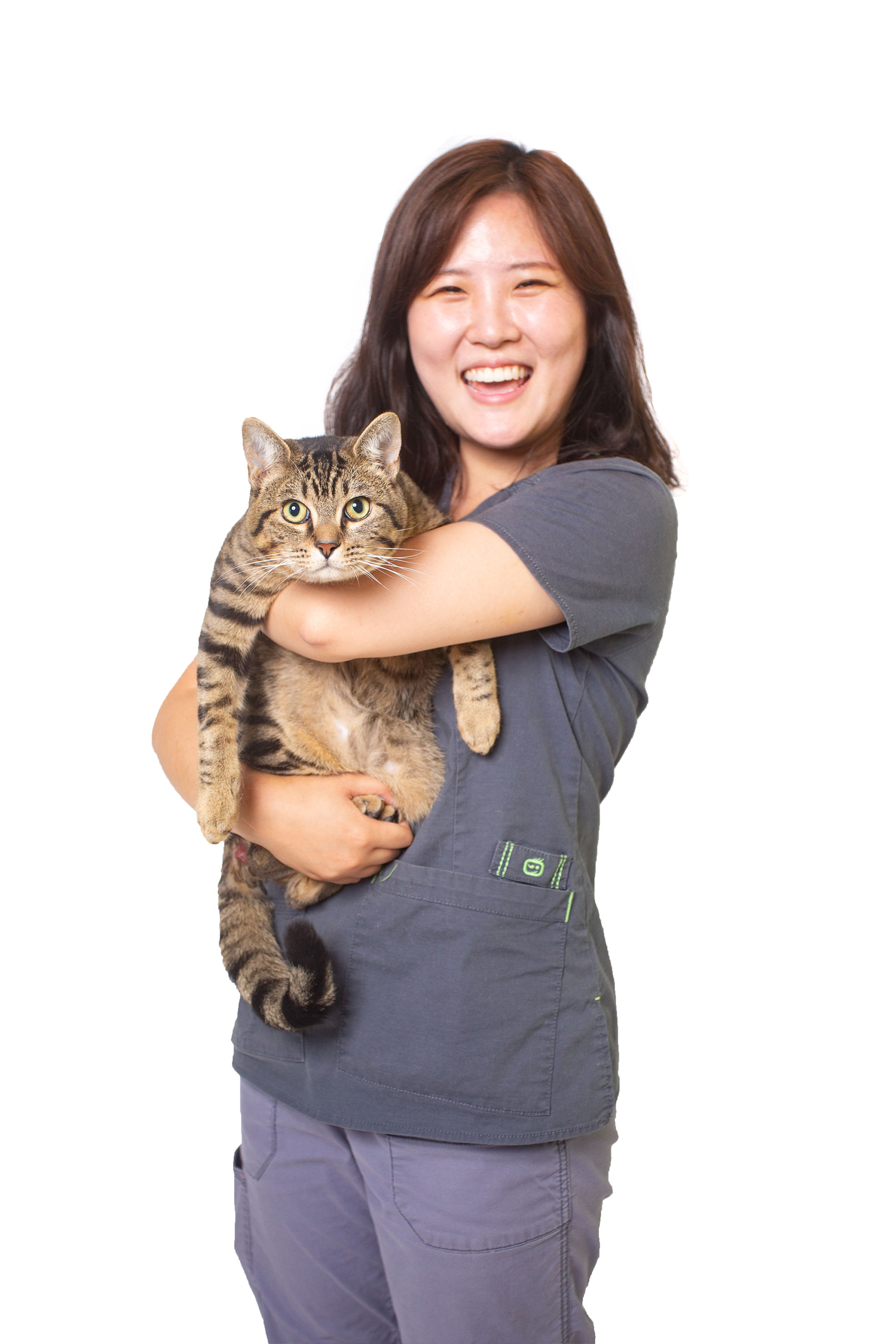 About us – Imperial animal hospital